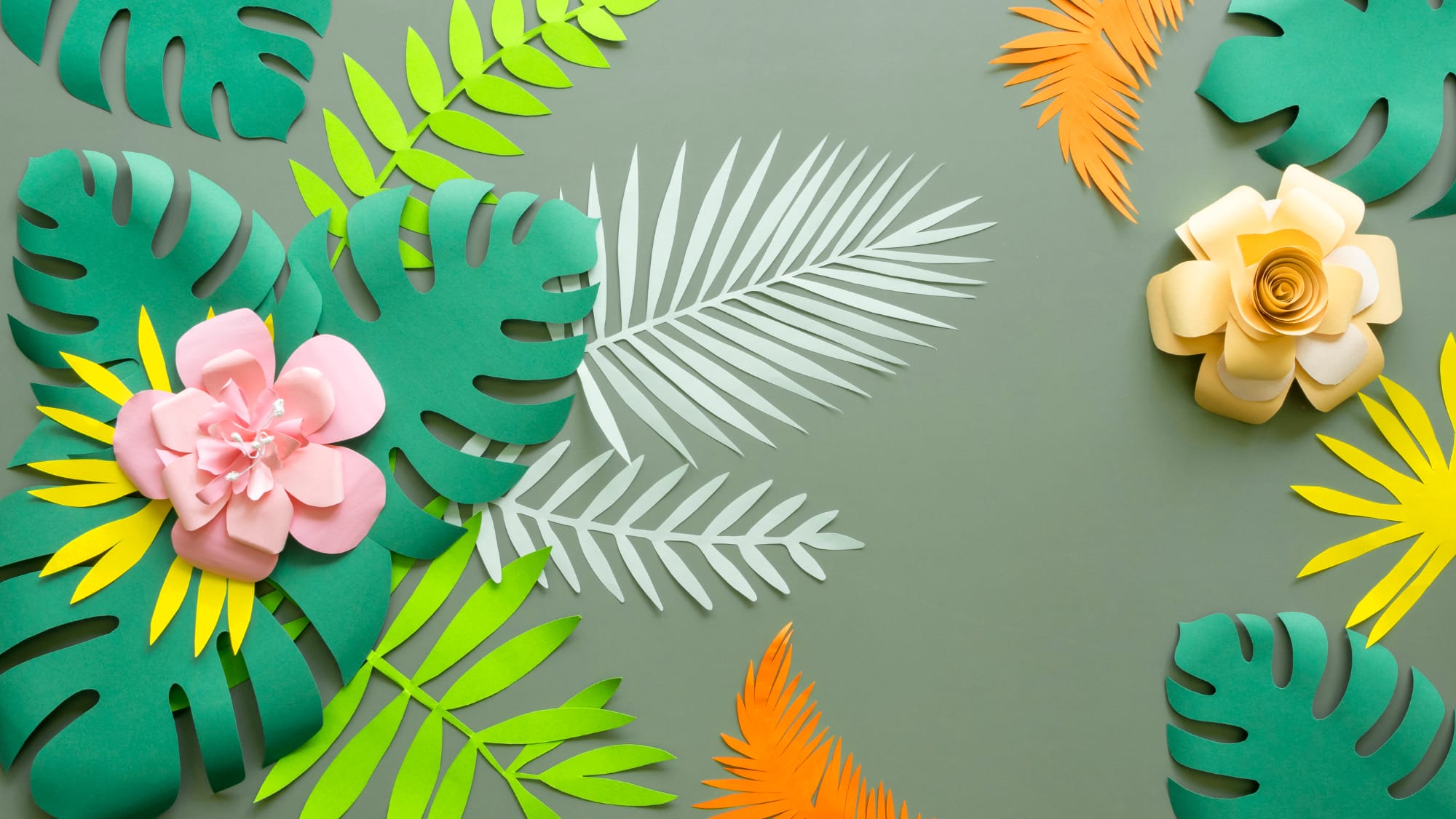 Trendovi u web i grafičkom dizajnu za 2025. godinu • Vedad Čolić Dizajn ...