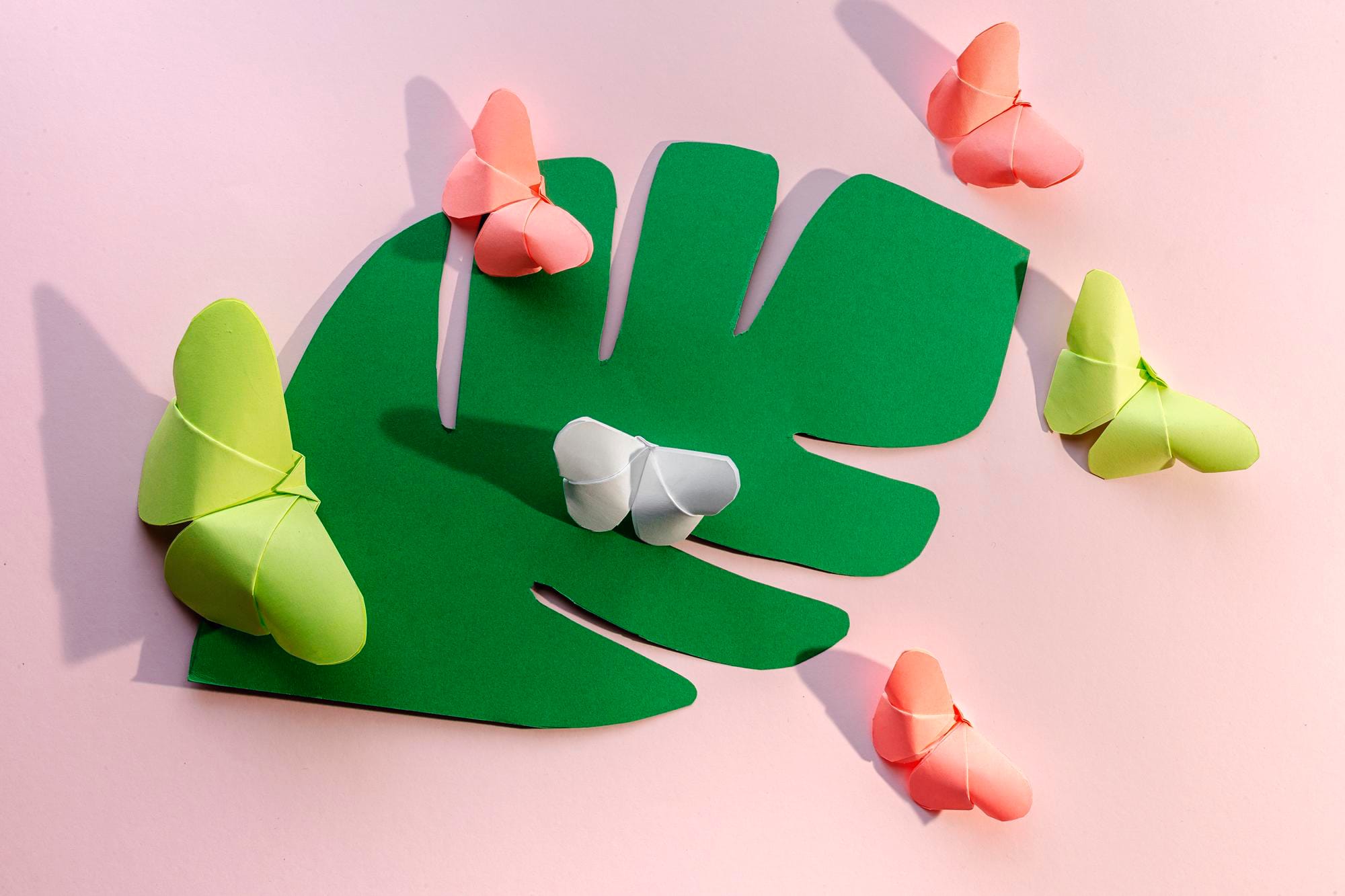 Trendovi u web i grafičkom dizajnu za 2025. godinu • Vedad Čolić Dizajn ...